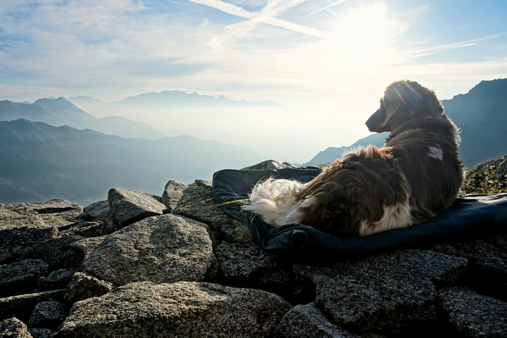Hüttentouren mit Hund in den Alpen • Rother Wanderglück